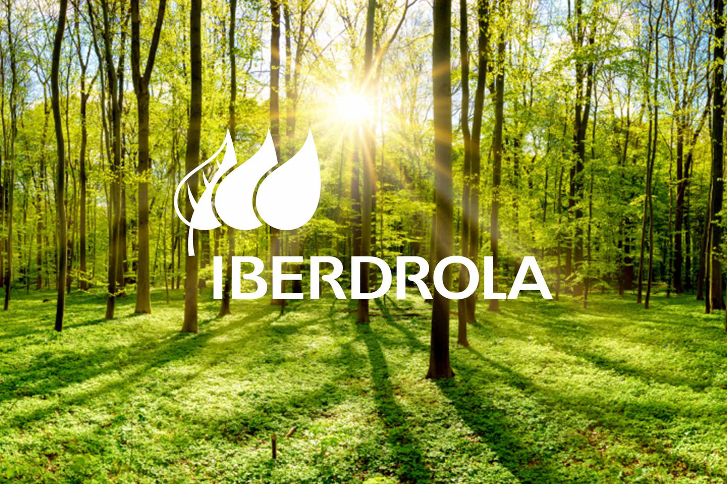 Iberdrola, energia sostenibile e trasformazione digitale | Genesys